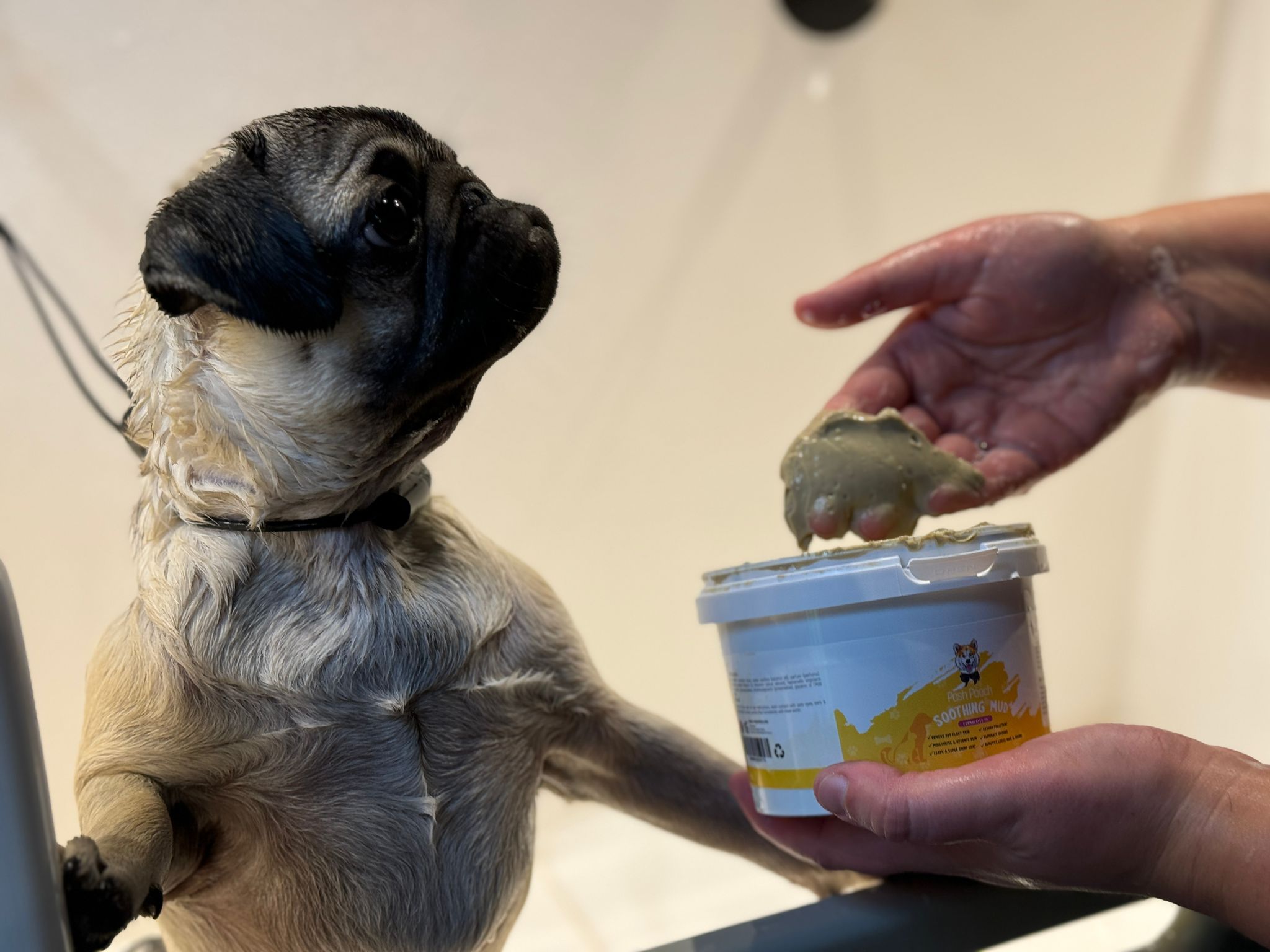 Introducing Our Brand New Spa Experience : Therapeutic Mud Treatments ...